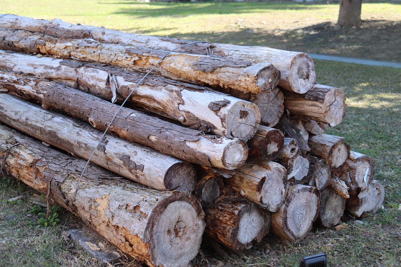 Madera La Grano De - Foto gratis en Pixabay - Pixabay