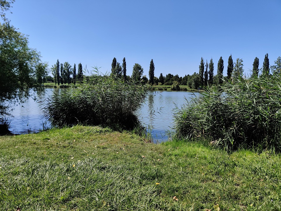 Fishing Lake Waterfront Dány - Free photo on Pixabay - Pixabay