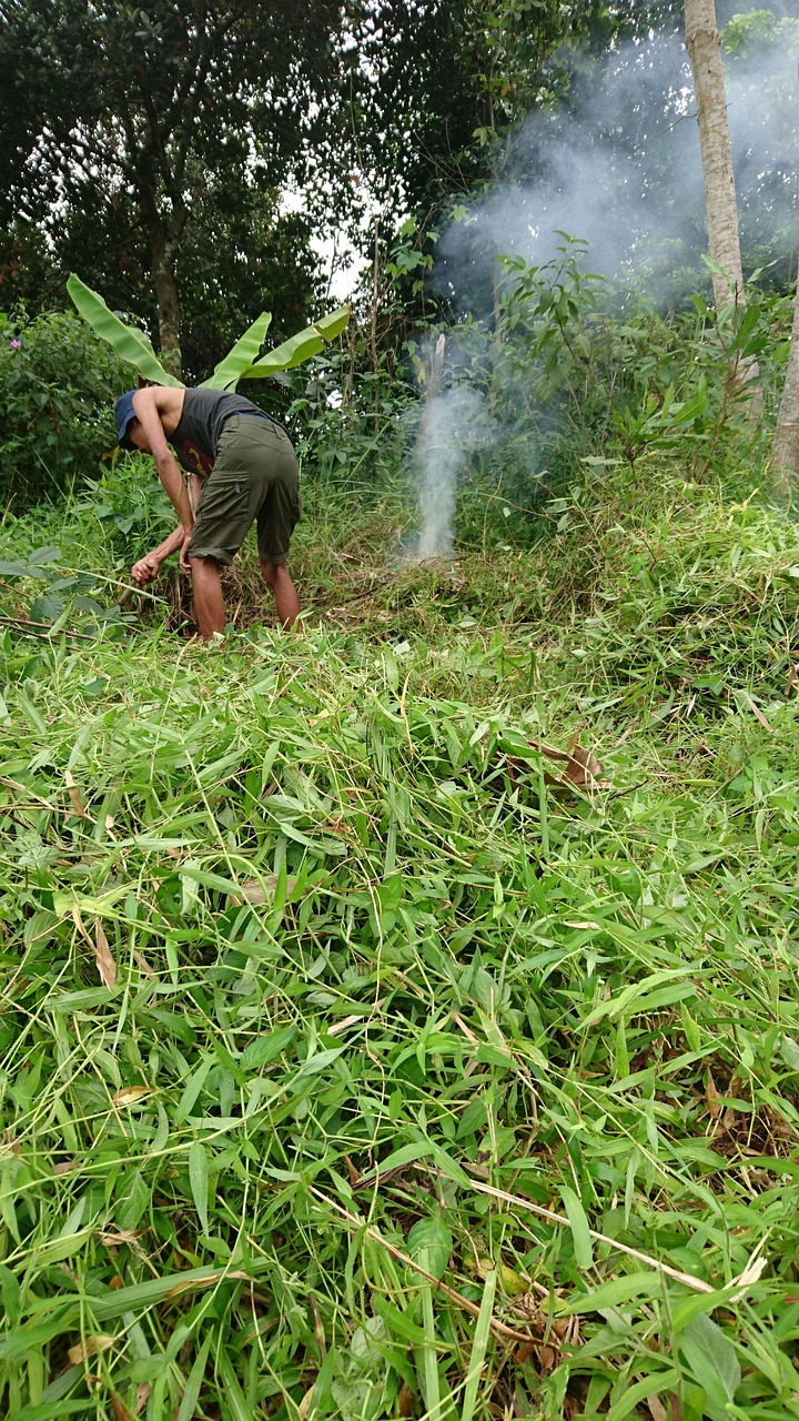 Pertanian Kebun Lahan - Free photo on Pixabay - Pixabay