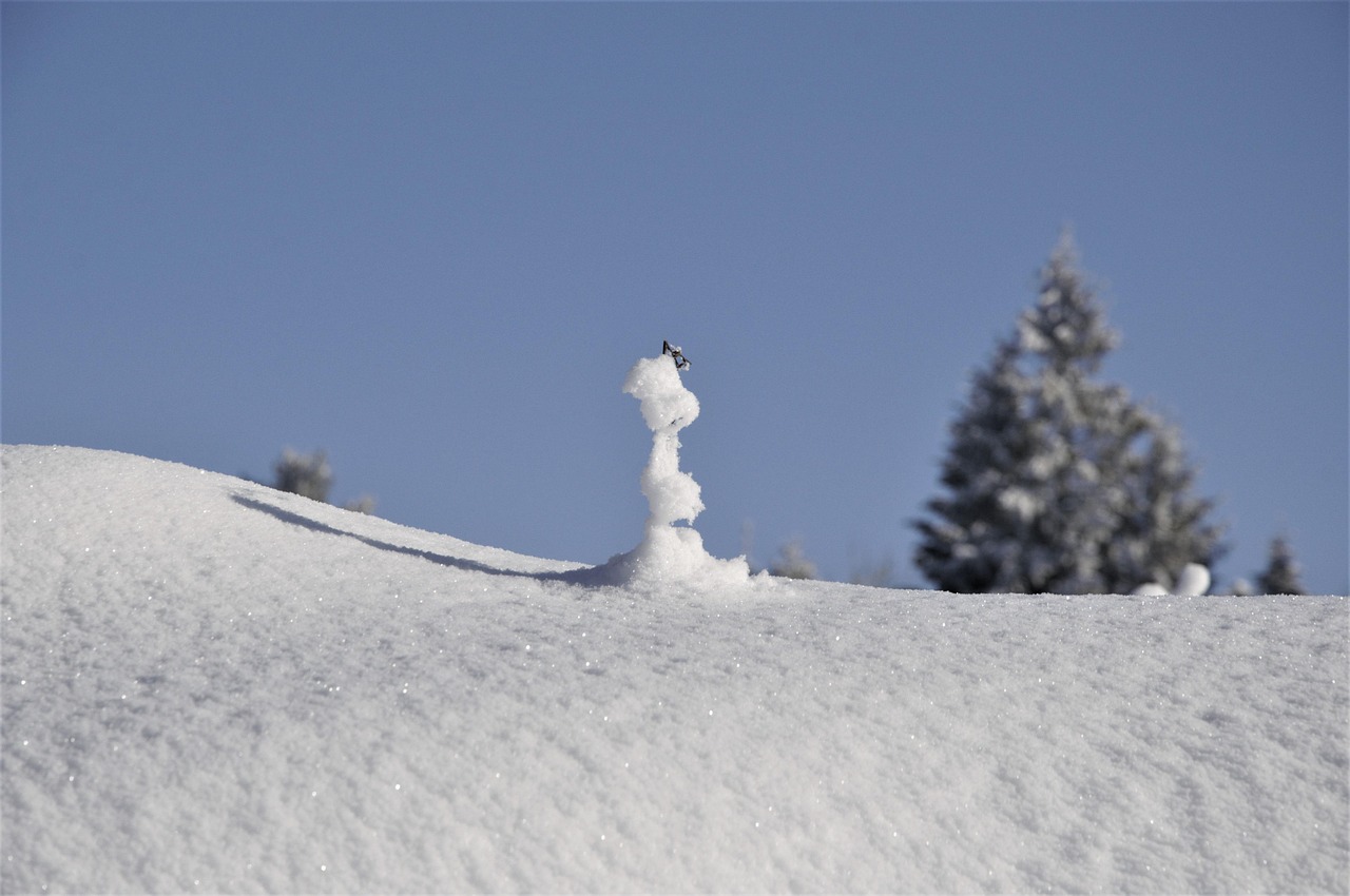 Hiver Neige Paysage - Photo gratuite sur Pixabay - Pixabay