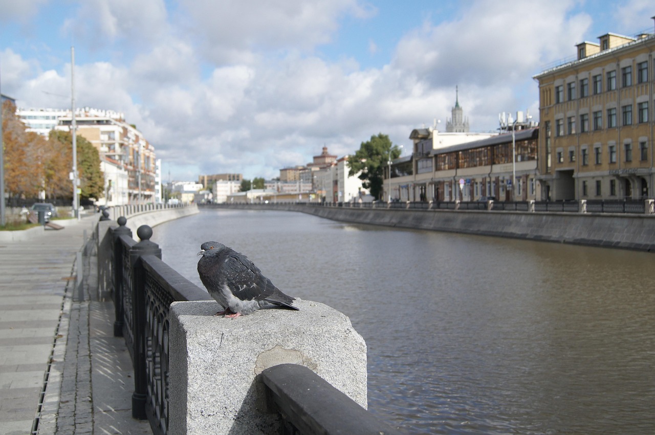Embankment Architecture Capital - Бесплатное фото на Pixabay - Pixabay