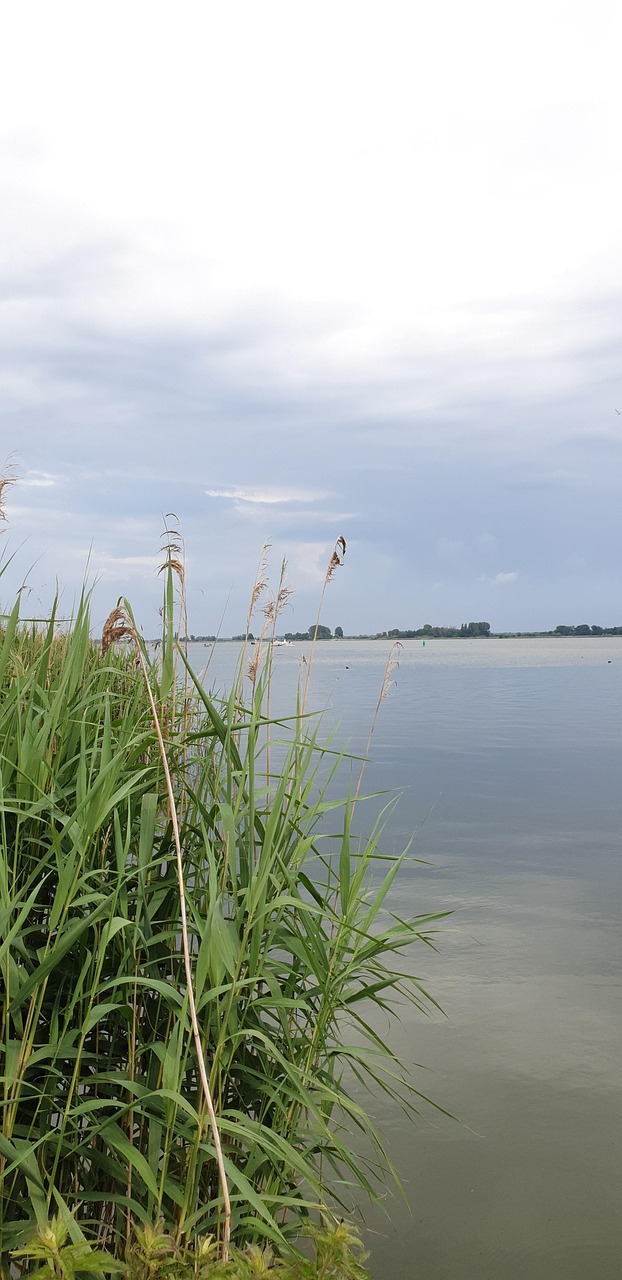 Veluwe Belanda Pantai - Foto gratis di Pixabay - Pixabay