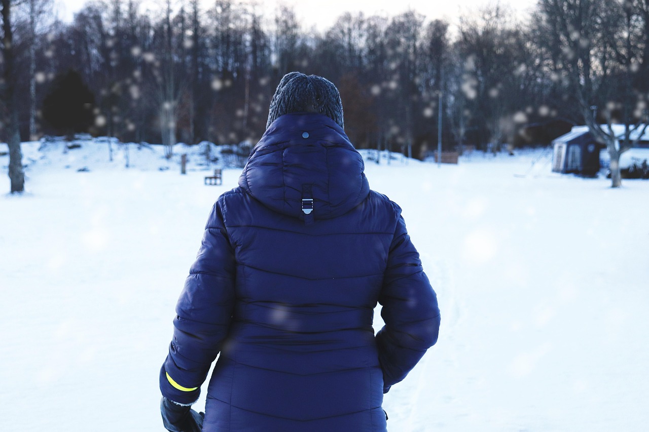 Winter Snowfall Person - Free photo on Pixabay