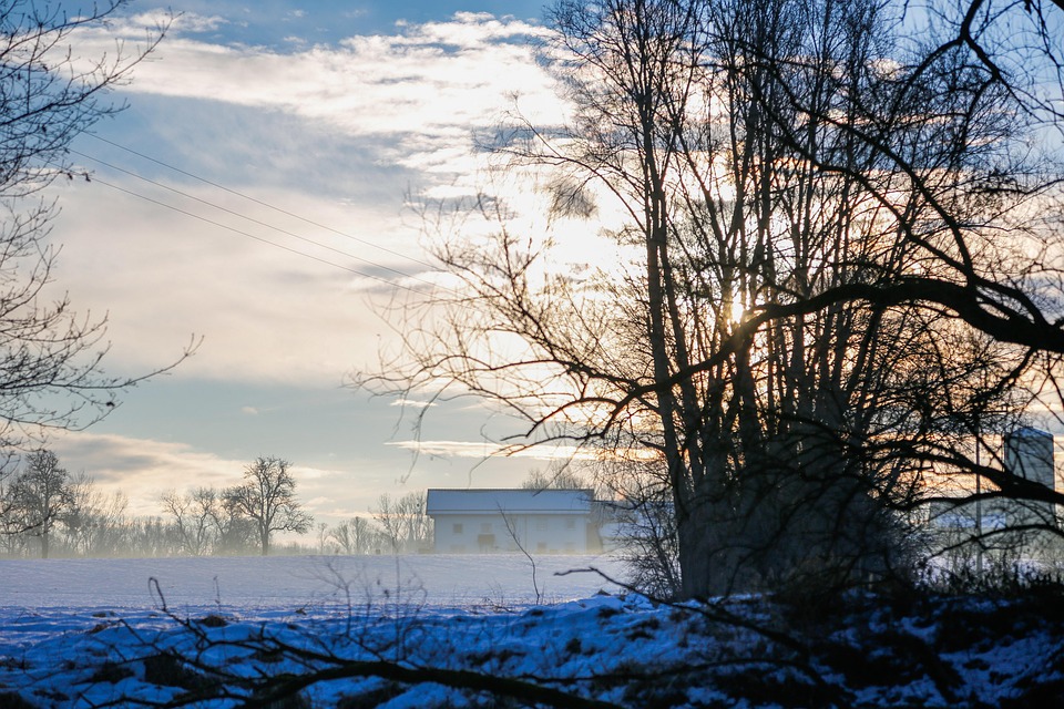 Winter Sun The Shade - Free photo on Pixabay - Pixabay