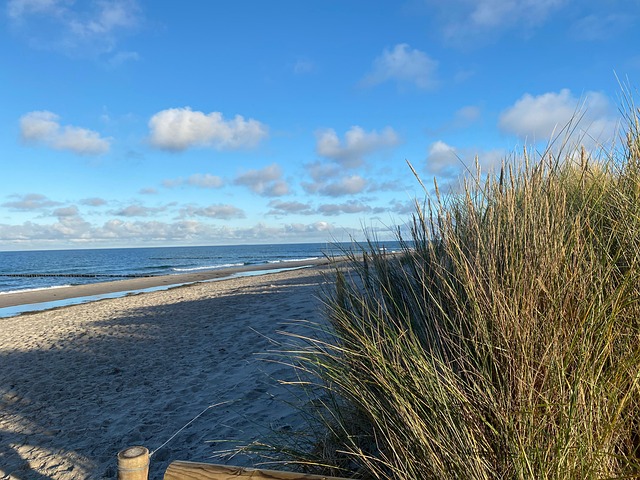 Zingst Darß Se - Free photo on Pixabay - Pixabay