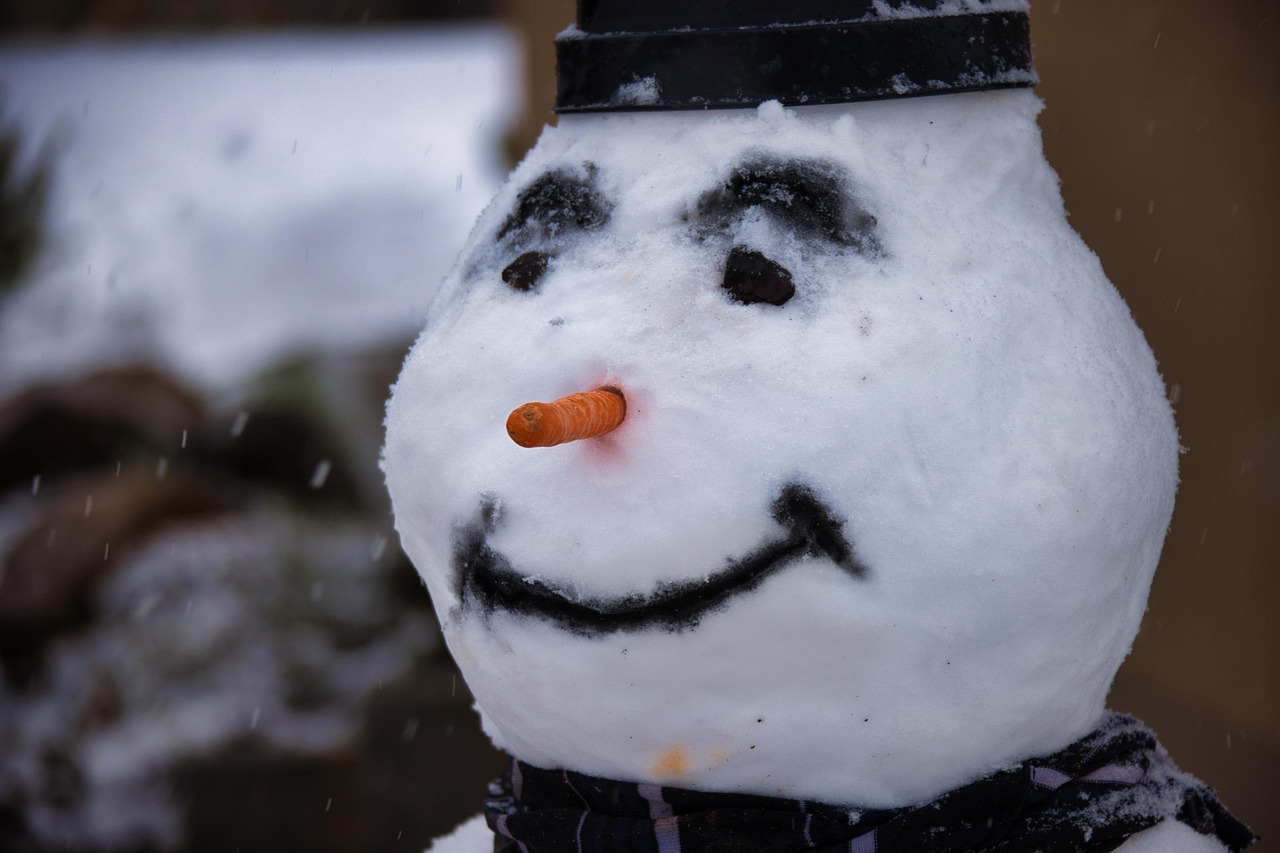 Boneco De Neve Domingo Inverno - Foto gratuita no Pixabay - Pixabay