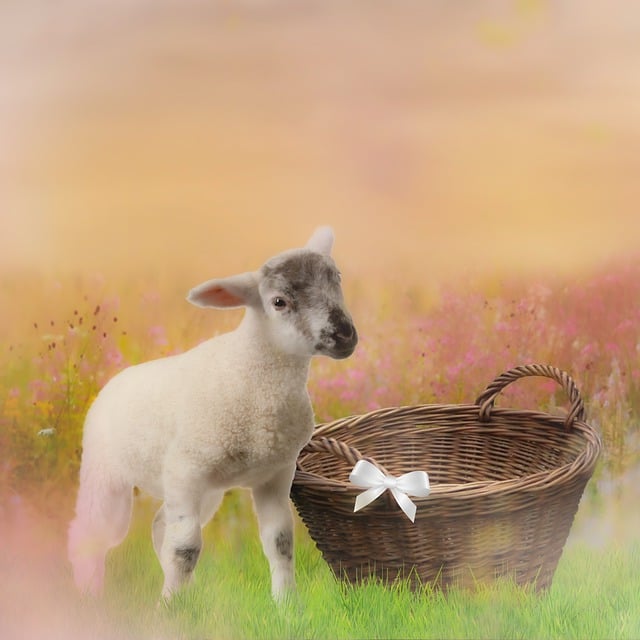 Download Spring, Lamb, Easter. Royalty-Free Stock Illustration Image ...