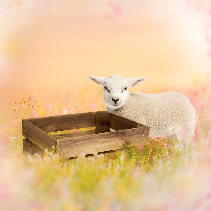 Download Spring, Lamb, Easter. Royalty-Free Stock Illustration Image ...