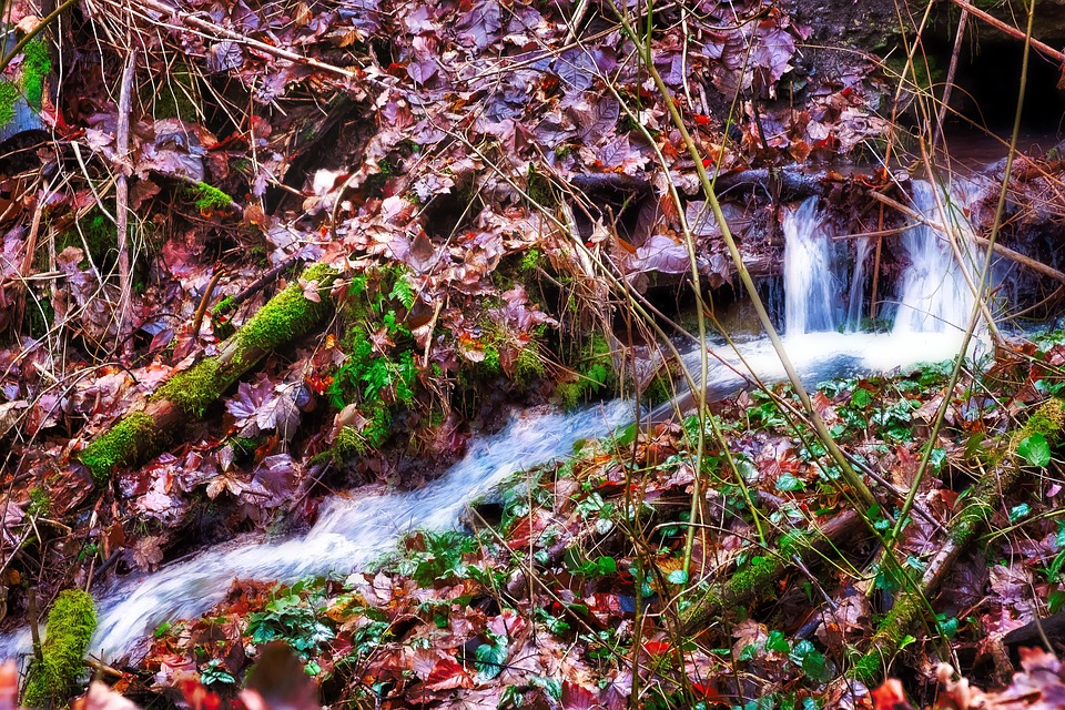 Wasserfall Bach Wald - Kostenloses Foto auf Pixabay