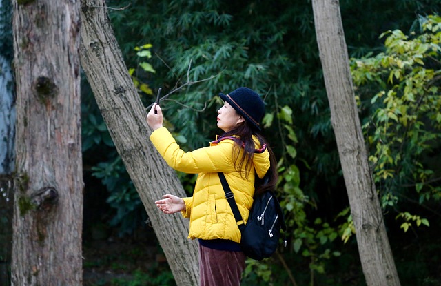Femme Parc Photographe En Plein - Photo gratuite sur Pixabay - Pixabay