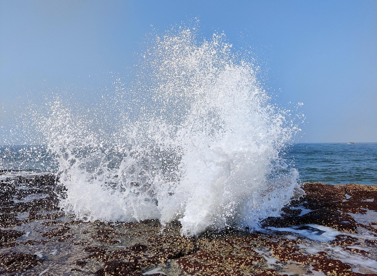Konkan Bhogwe Beach - Free photo on Pixabay - Pixabay