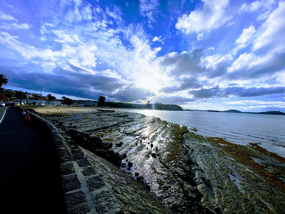 Mission Bay Strand Auckland - Gratis foto på Pixabay - Pixabay