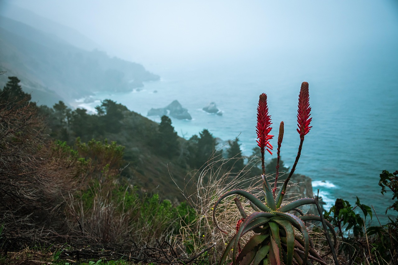 Big Sur California Coast Cliffs - Free photo on Pixabay