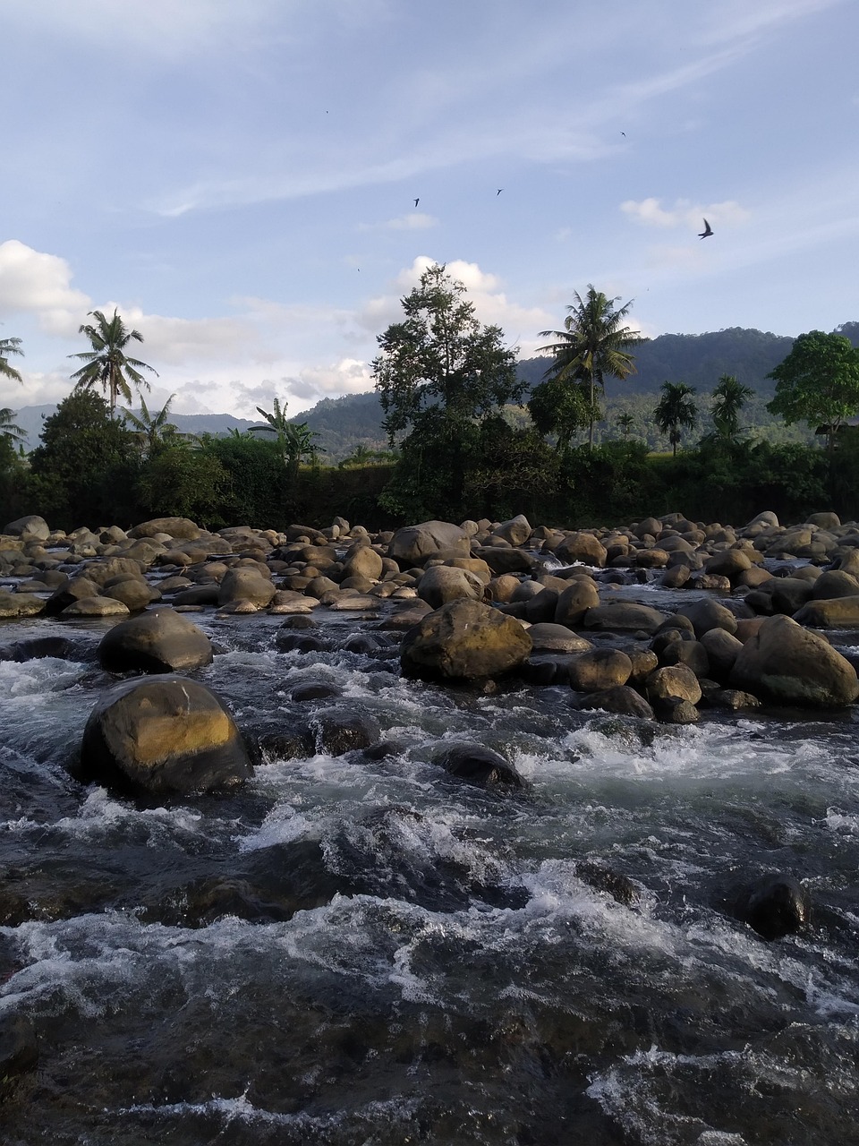 Fleuve Rochers - Photo gratuite sur Pixabay - Pixabay