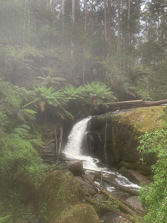 Wasserfall Bach Regnerisch - Kostenloses Foto auf Pixabay - Pixabay