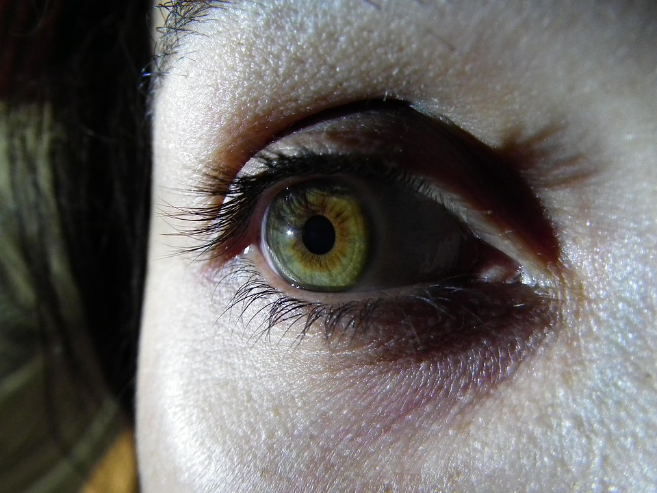 Macro Eye Zoom Close - Free photo on Pixabay - Pixabay