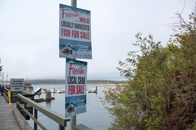 Port Renfrew Bc Signes De Poisson - Photo gratuite sur Pixabay - Pixabay