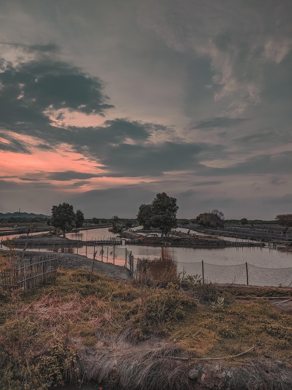 10+ Free Tambak & Pond Images - Pixabay
