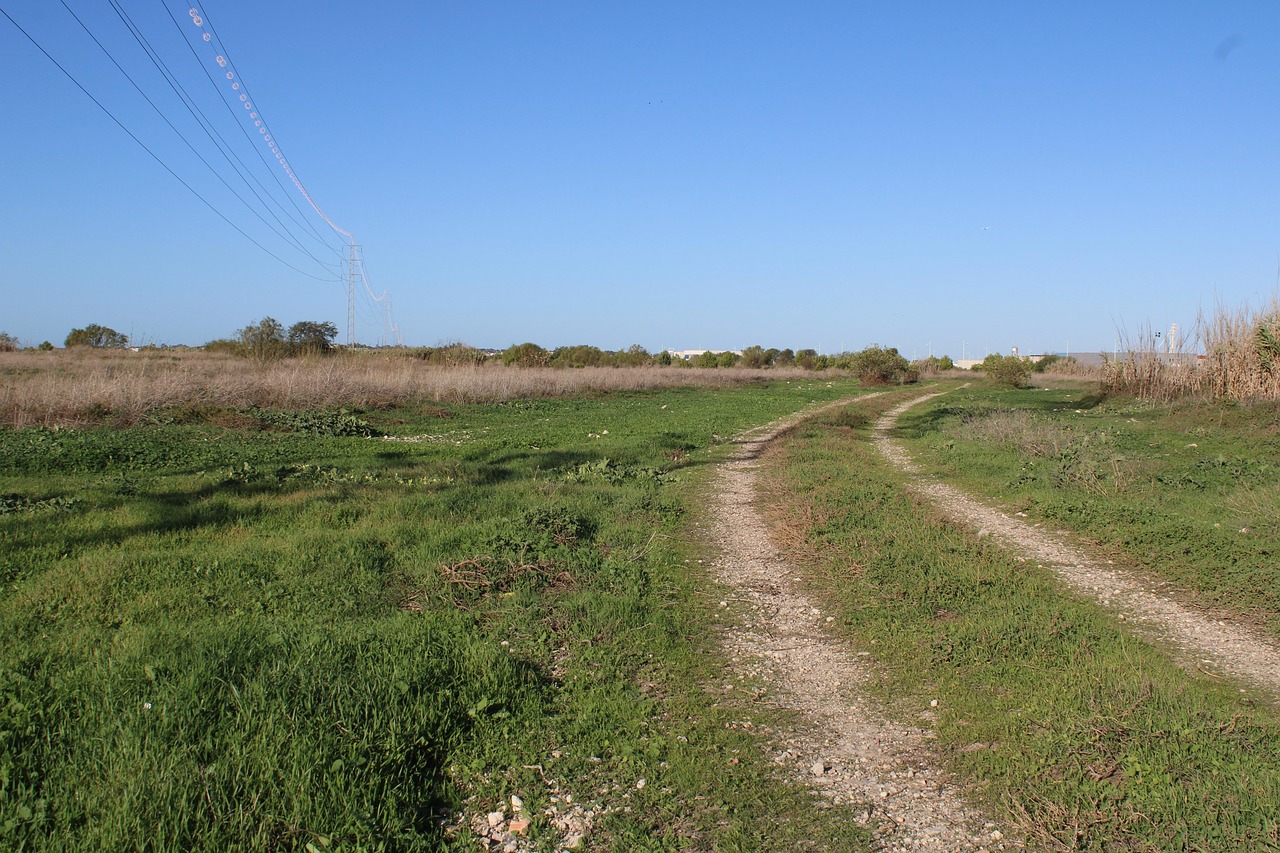 Path Landscape Darling - Free photo on Pixabay - Pixabay
