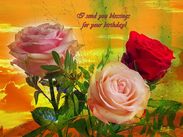 Flower Roses Date Of - Free photo on Pixabay - Pixabay