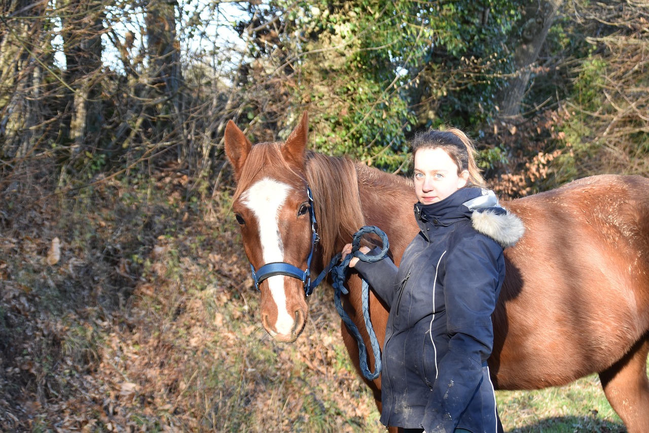 Cheval Jeune Fille Trotteur - Photo gratuite sur Pixabay - Pixabay