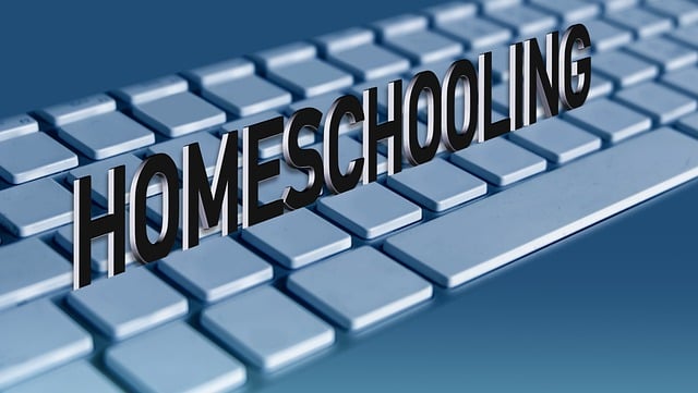 10,000+ Free Online Learning & Webinar Images - Pixabay