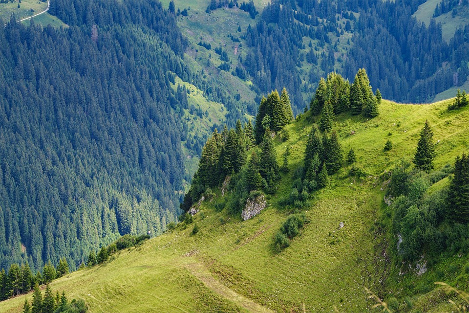 Alpine Mountains Trees - Free photo on Pixabay