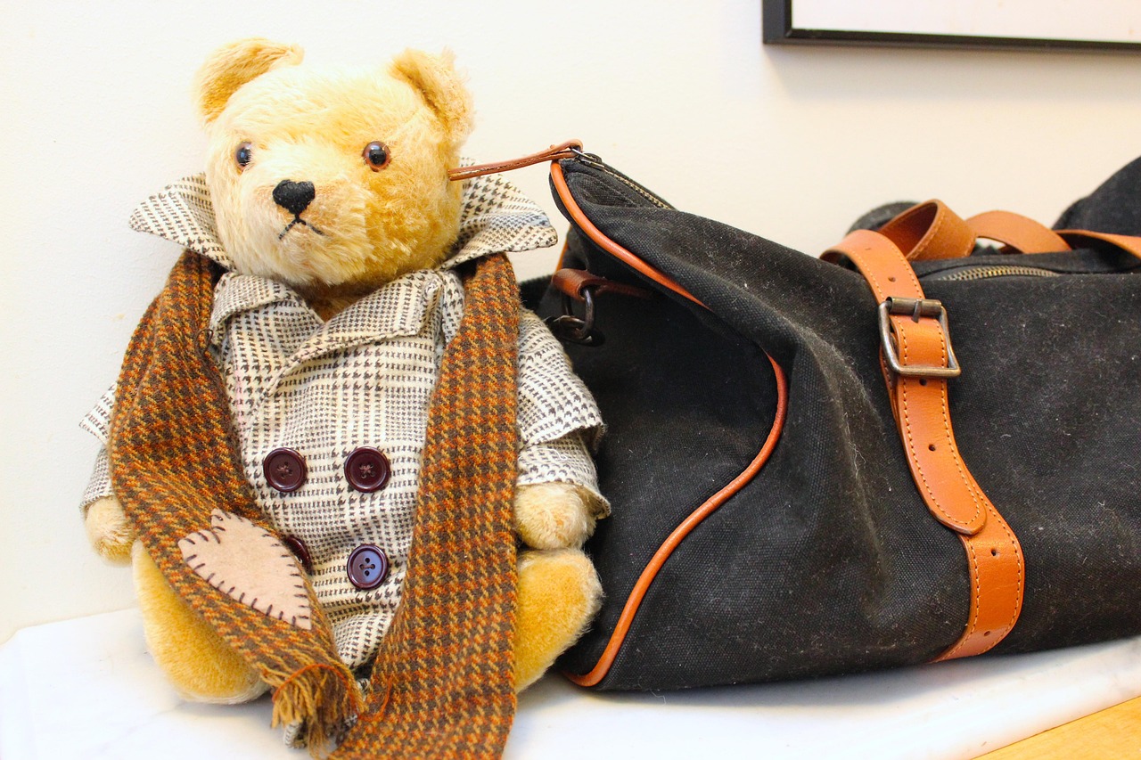 Teddy Indoors Travel - Free photo on Pixabay - Pixabay