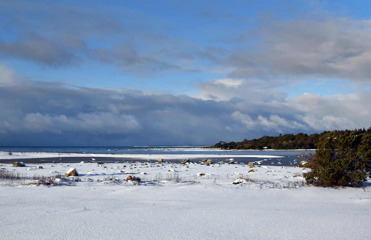 Foto De Invierno Nieve - Foto gratis en Pixabay - Pixabay