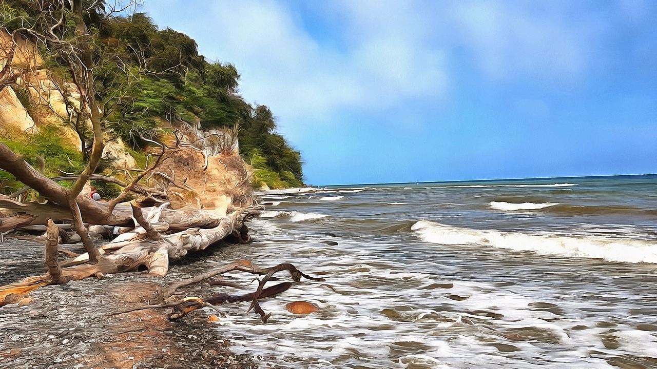 Download Sea, Coast, Woods. Royalty-Free Stock Illustration Image - Pixabay