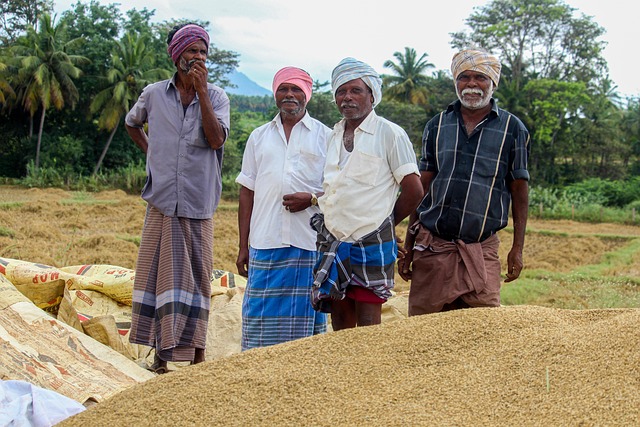 Tamilnadu Cumbum Village Formers - Free photo on Pixabay - Pixabay