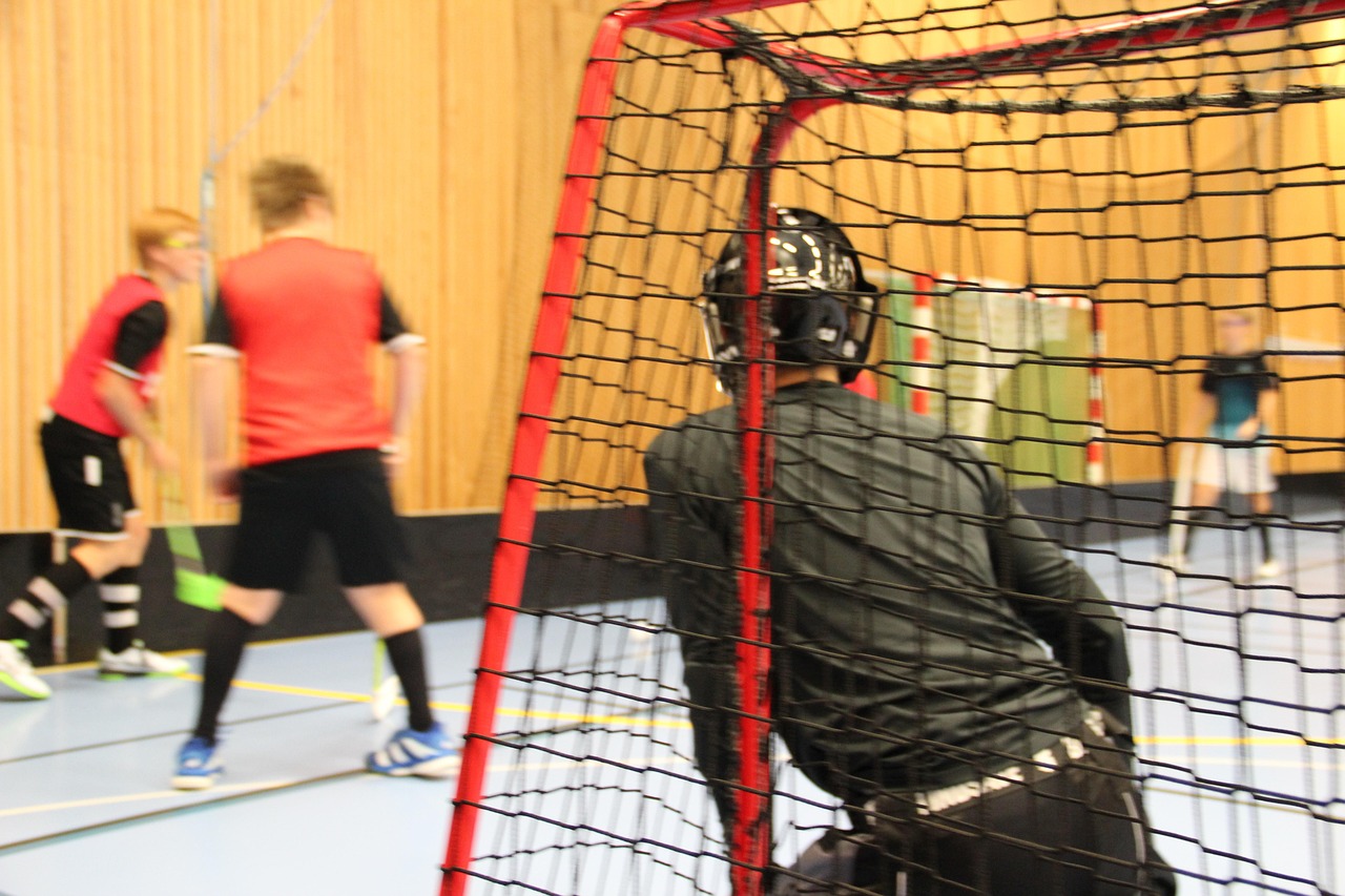Innebandy De Unihockey Jugar - Foto gratis en Pixabay - Pixabay