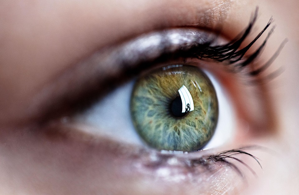 Green Eye Girl - Free photo on Pixabay