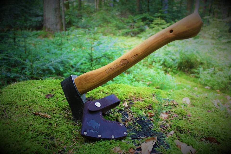 Axe Banteng Hutan - Foto gratis di Pixabay - Pixabay
