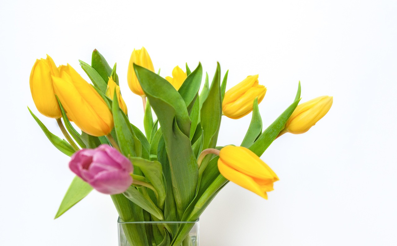 Tulpenstrauss Tulpen Strauss - Kostenloses Foto auf Pixabay - Pixabay