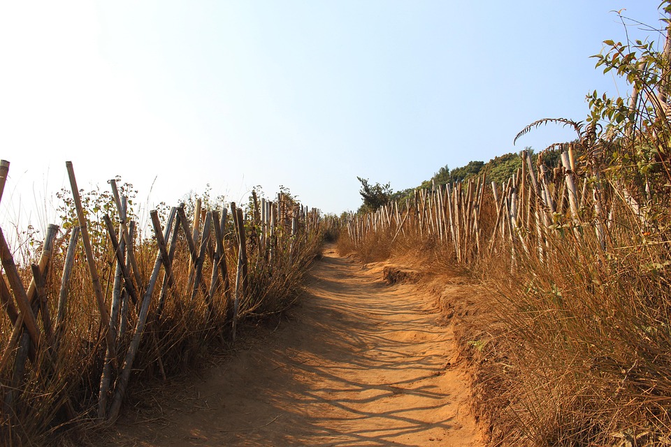 Path Fences Grass - Free photo on Pixabay