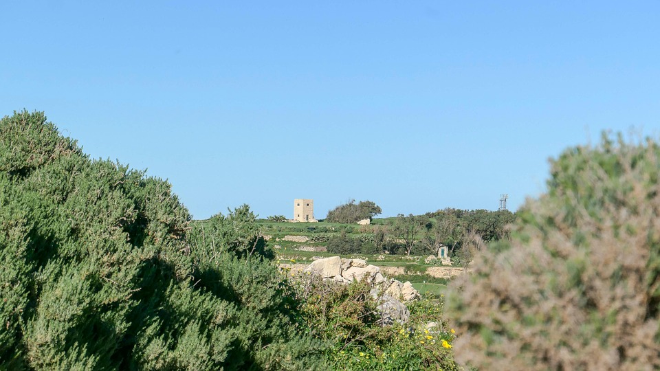 Gozo Green Malta - Free photo on Pixabay - Pixabay
