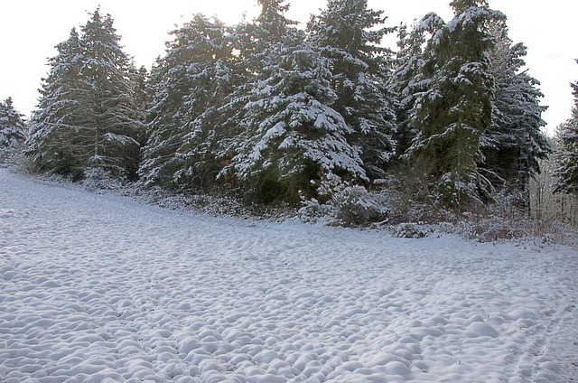 Hiver Schnee Neige Des - Photo gratuite sur Pixabay - Pixabay