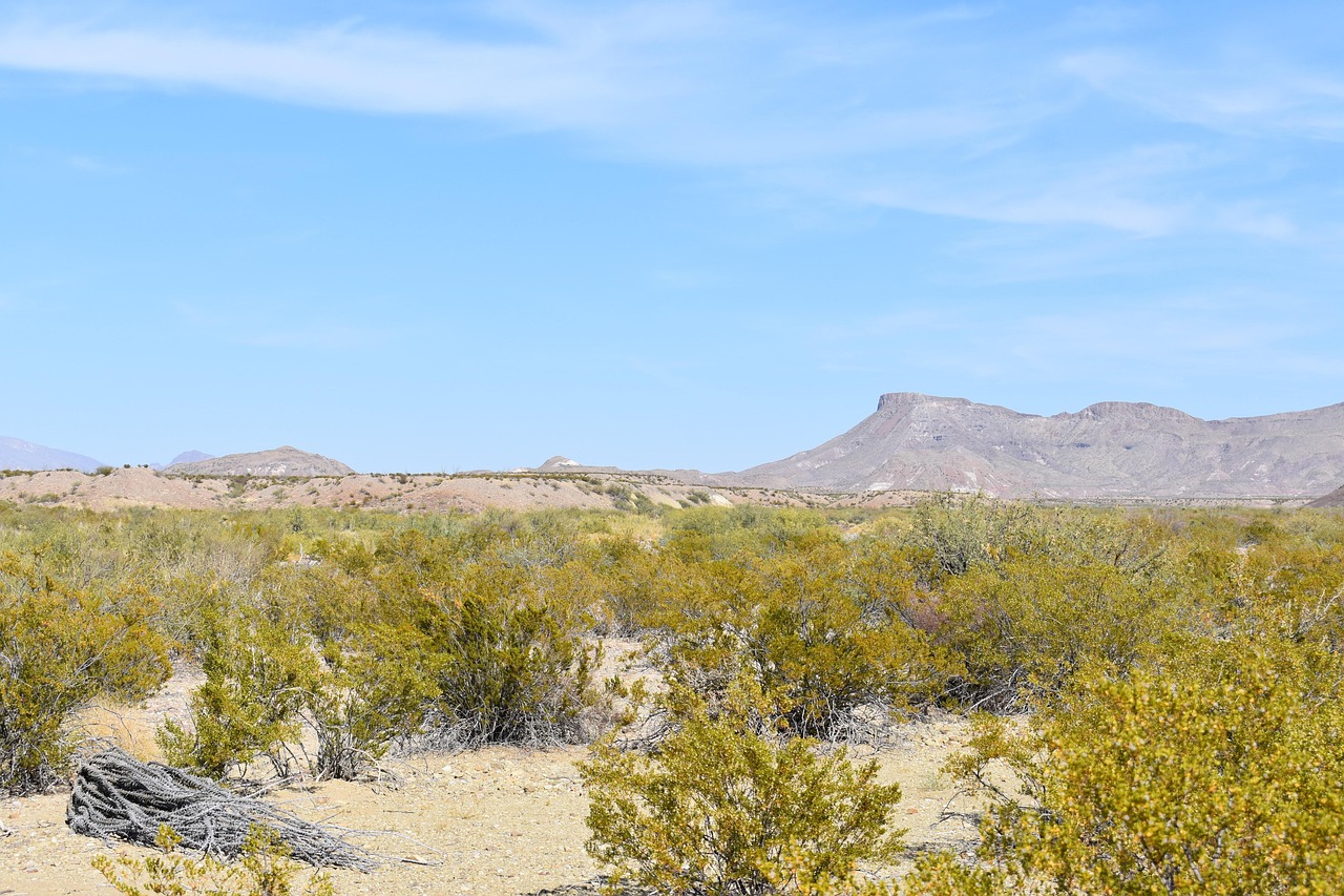 Desert Big Bend Texas - Free photo on Pixabay - Pixabay