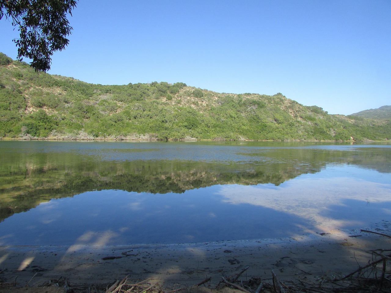Lagune De Sedgefield L'Eau Reflets - Photo gratuite sur Pixabay - Pixabay