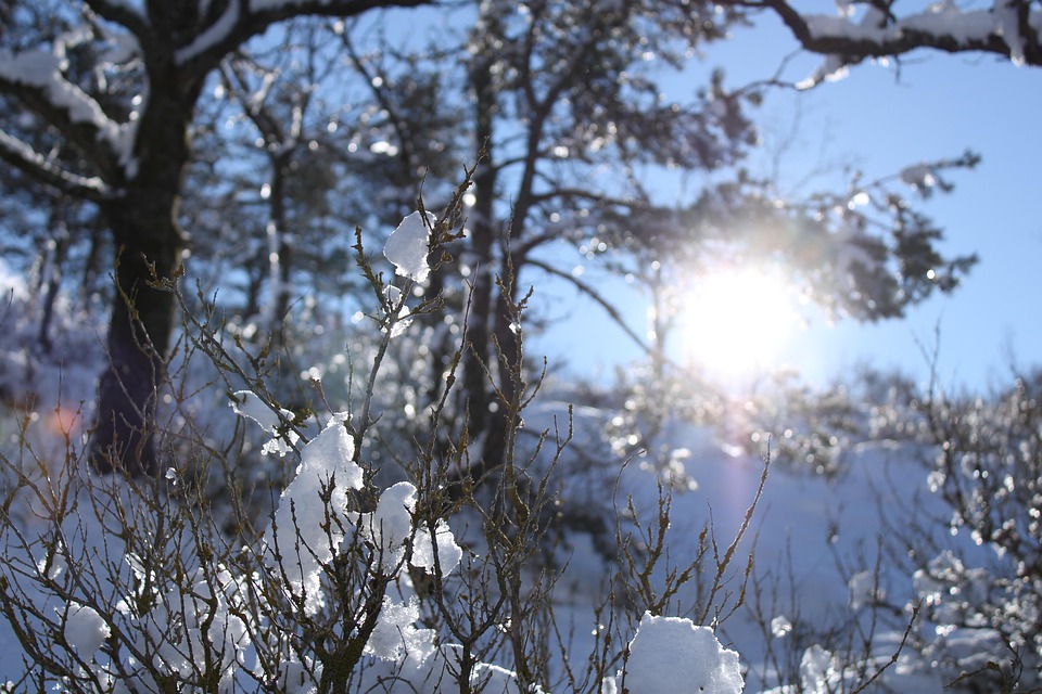Sol Nieve Naturaleza - Foto gratis en Pixabay - Pixabay