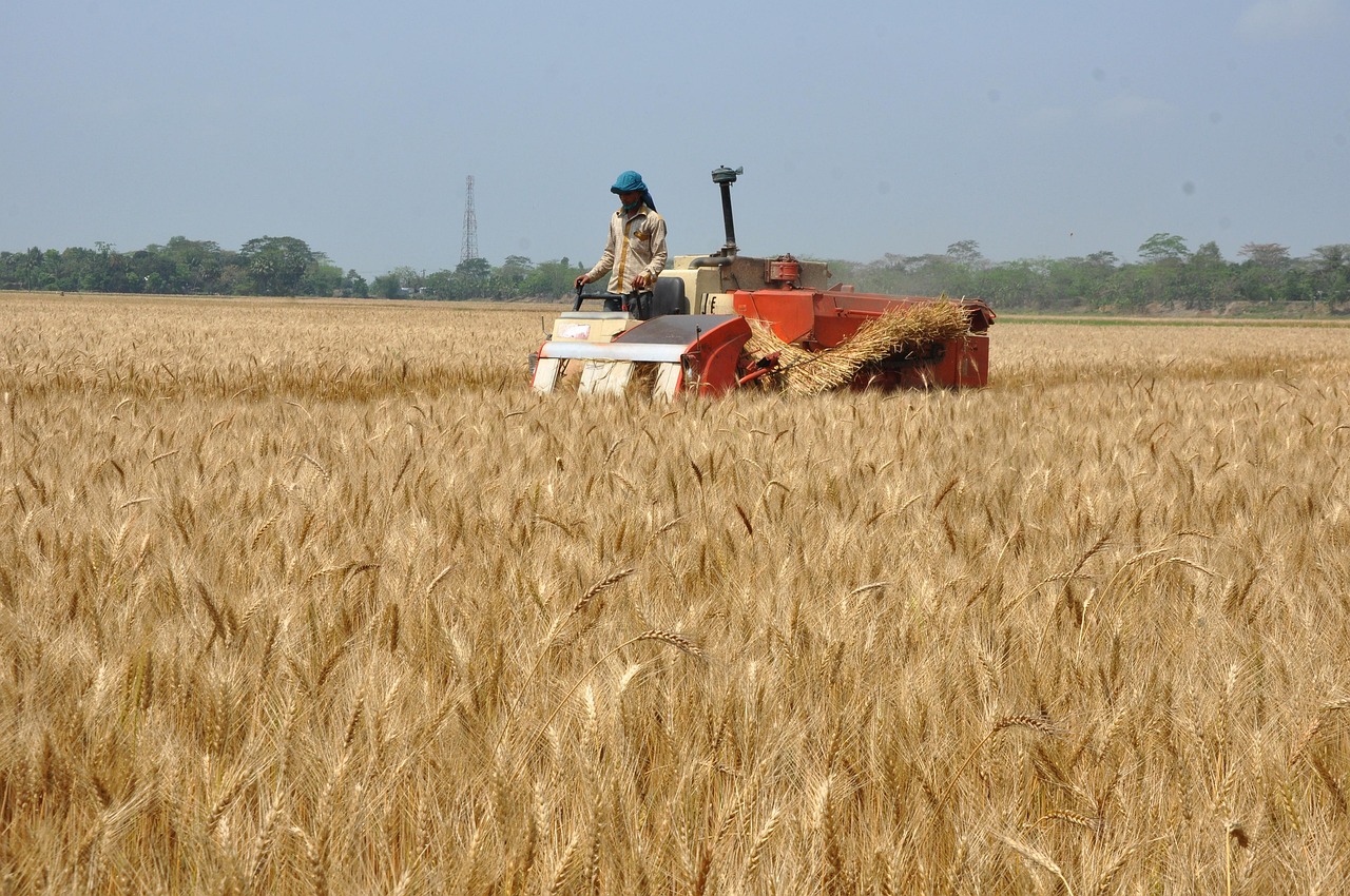 Wheat Field Man Harvester - Free photo on Pixabay