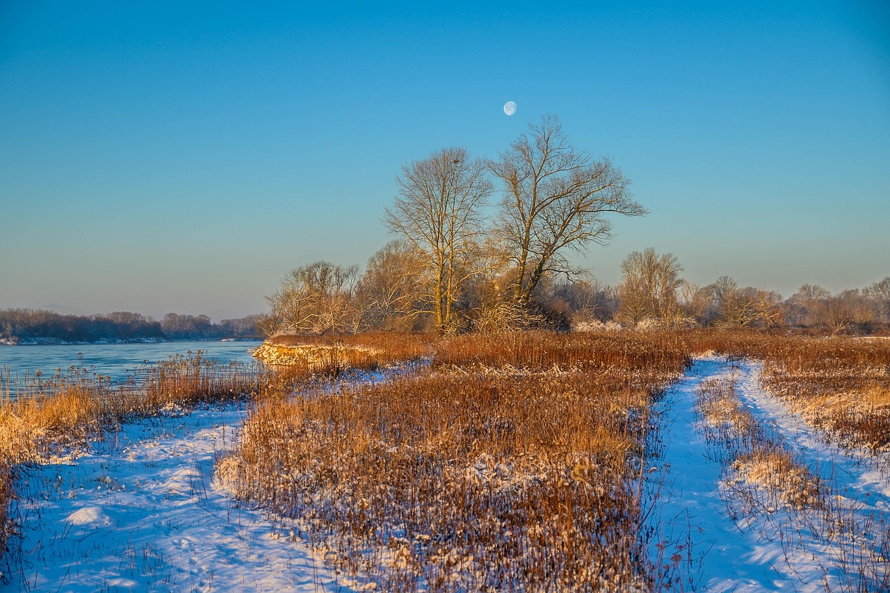 400+ Free Snowscape & Winter Images - Pixabay