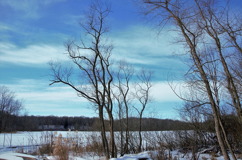 Winter Lake Scene Snow Covered - Free photo on Pixabay - Pixabay