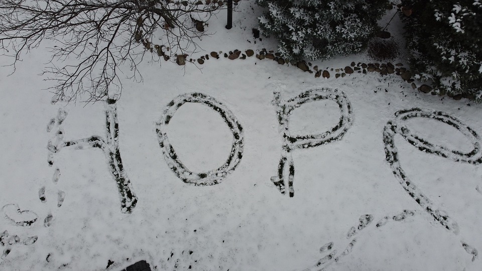 Hope Snow Winter - Free photo on Pixabay - Pixabay