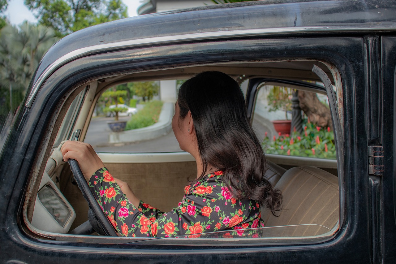 30,000+ Free Woman Driving & Woman Images - Pixabay
