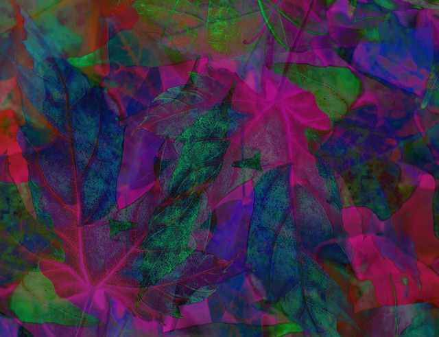 300+ Free Trippy & Psychedelic Images - Pixabay