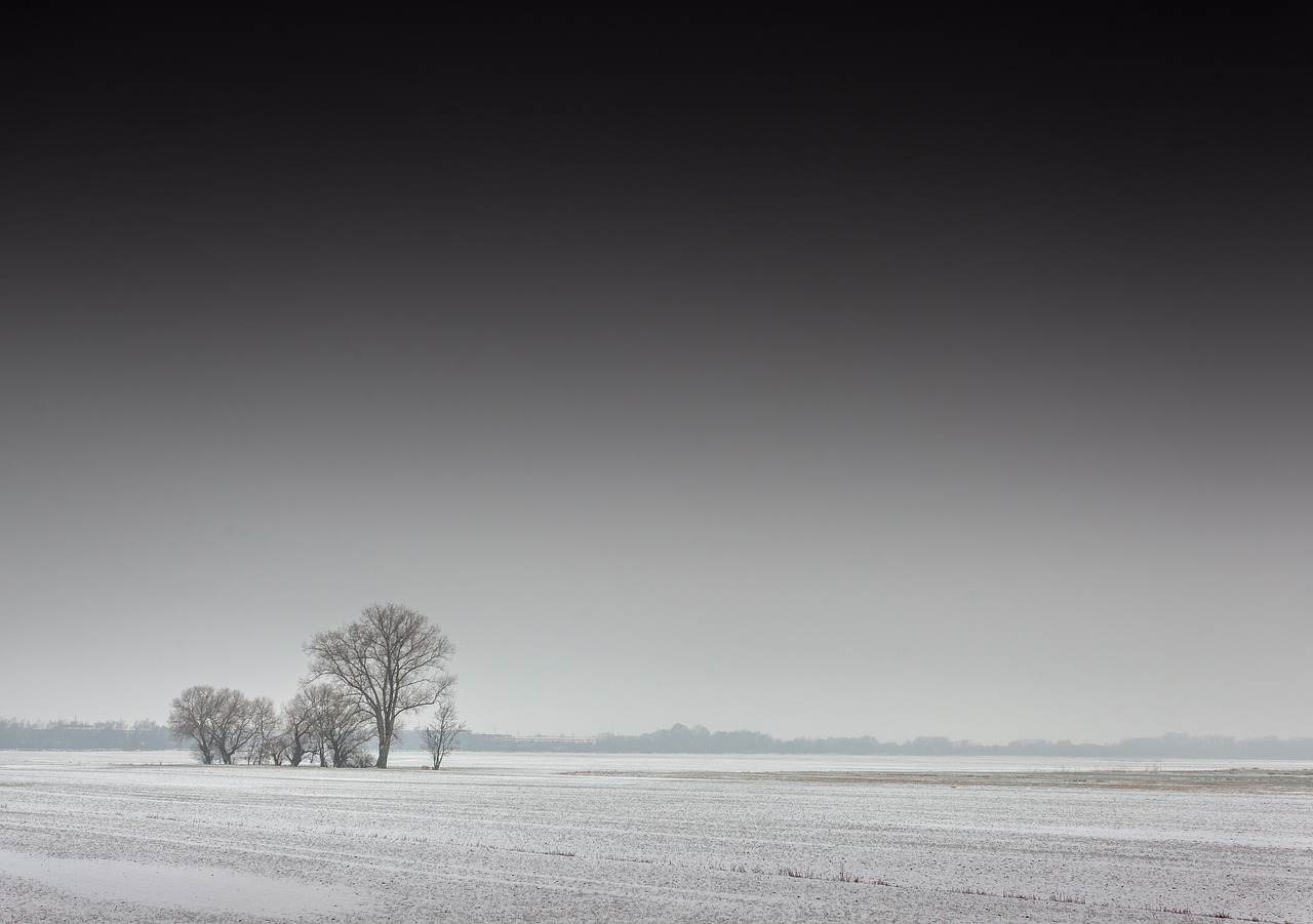 Field Trees Winter - Free photo on Pixabay