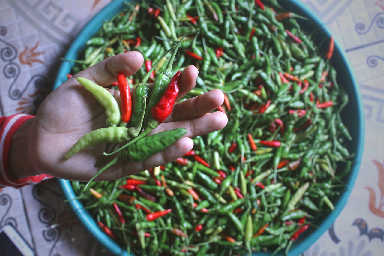 Chile Fruta Planta - Foto gratis en Pixabay