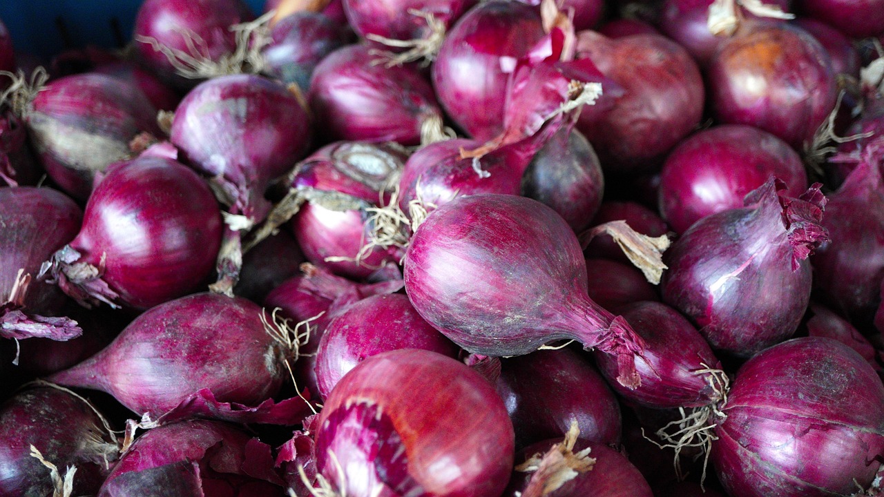 Oignons Rouge Des Légumes - Photo gratuite sur Pixabay - Pixabay
